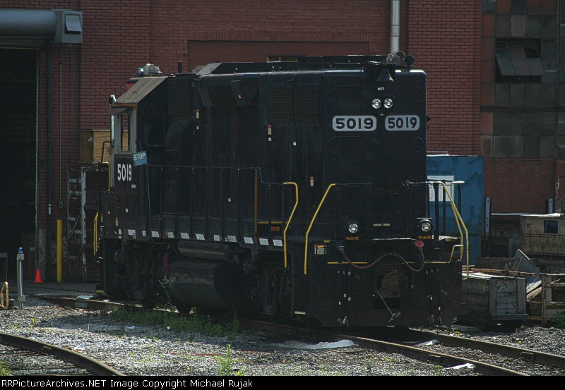 NS 5019